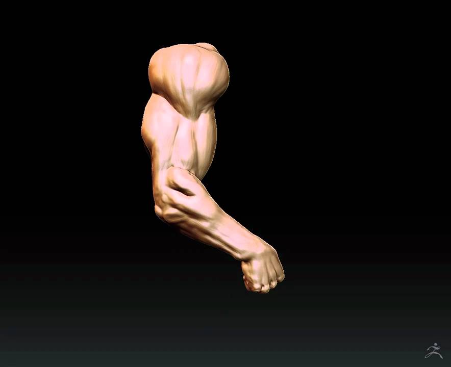 Zbrush arm animation (blendshape) - YouTube