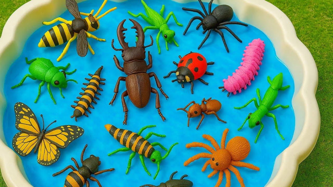 Learn Bug Homes with Toys & Real Insects | Learn Bug & Insects Name For ...