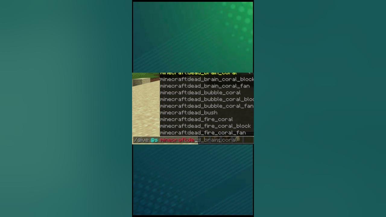 How to get a debug stick in Minecraft #minecraft #java #commands - YouTube