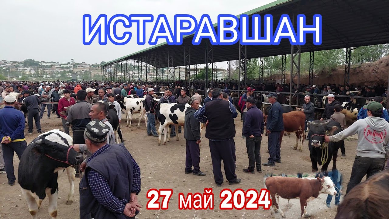 27 мая 2024 г МОЛБОЗОРИ ИСТАРАВШАН Youtube