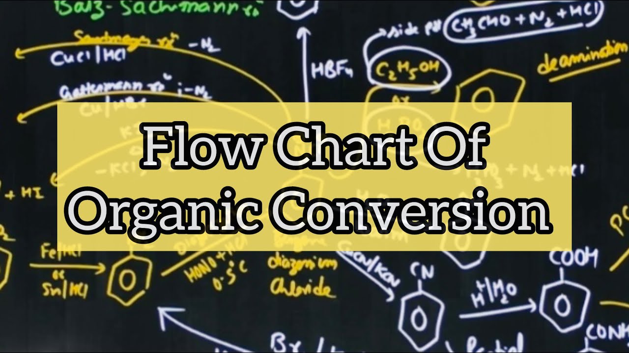 Mastering Haloarenes Conversion: A Class 12 Organic Chemistry Guide ...