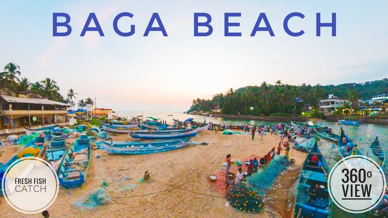 Baga beach-Goa | Fresh Fish catch | 360⁰ view - YouTube