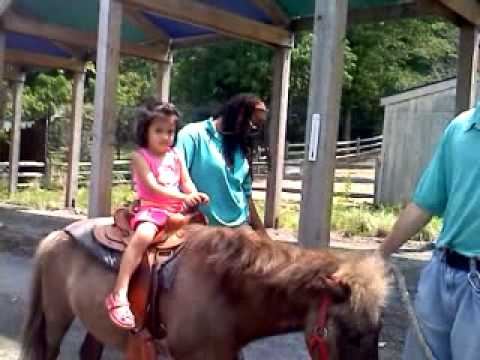 First time on riding a horse - YouTube