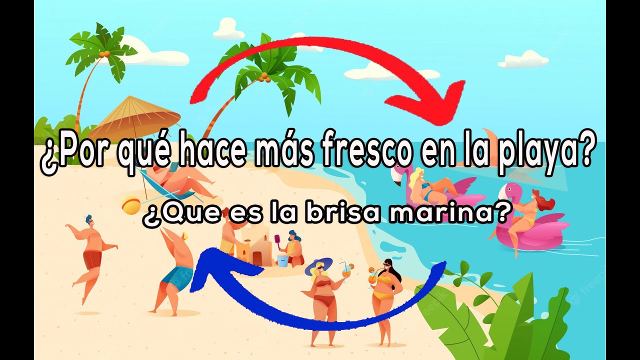 🌬️🌊 Brisa Marina ¿Qué es? | ¿Por qué hace más fresco en la playa?🏖️ ...
