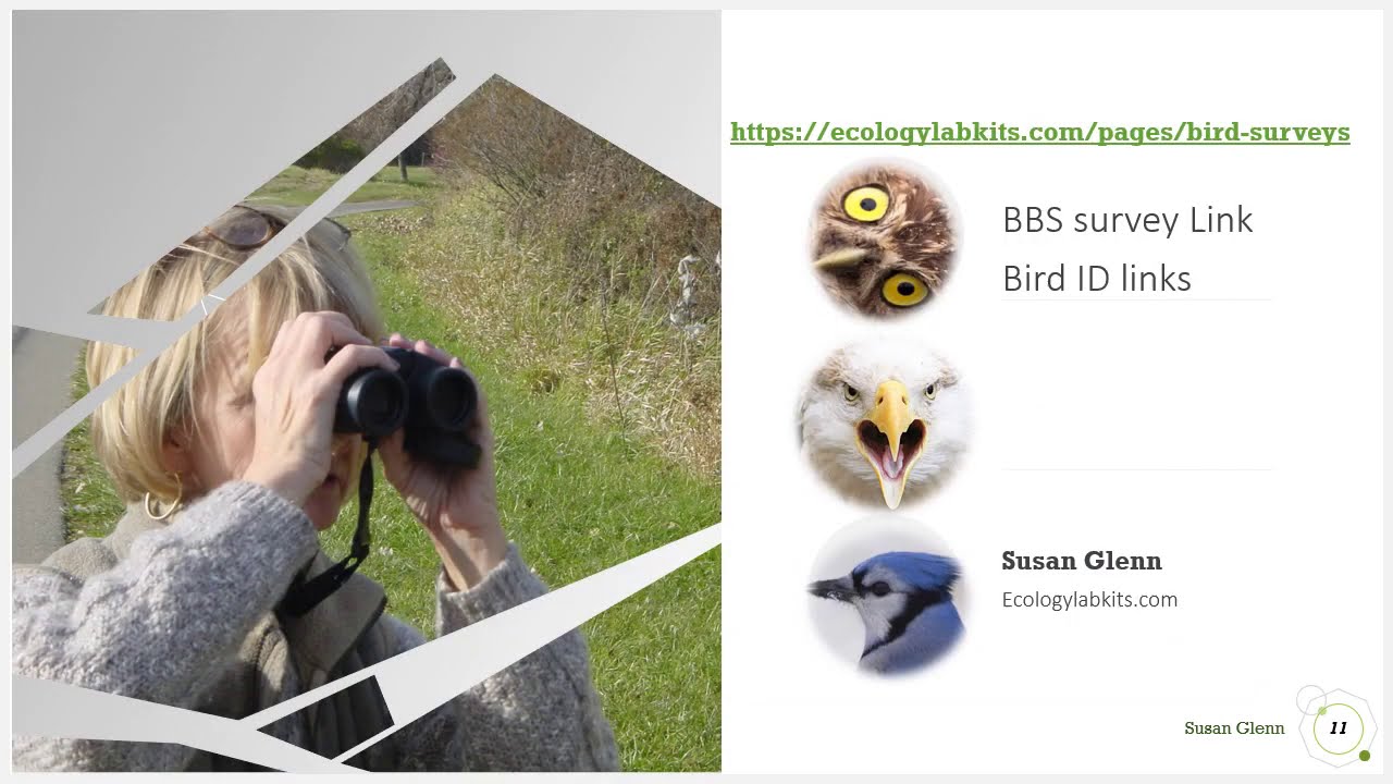 Breeding Bird Survey Lab - Data Collection - YouTube