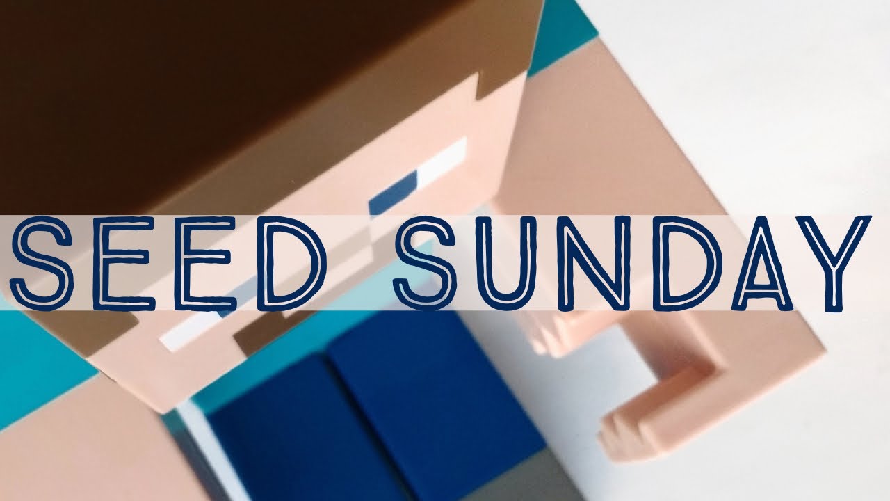 MINECRAFT SEED SUNDAY - Episode 1 - YouTube