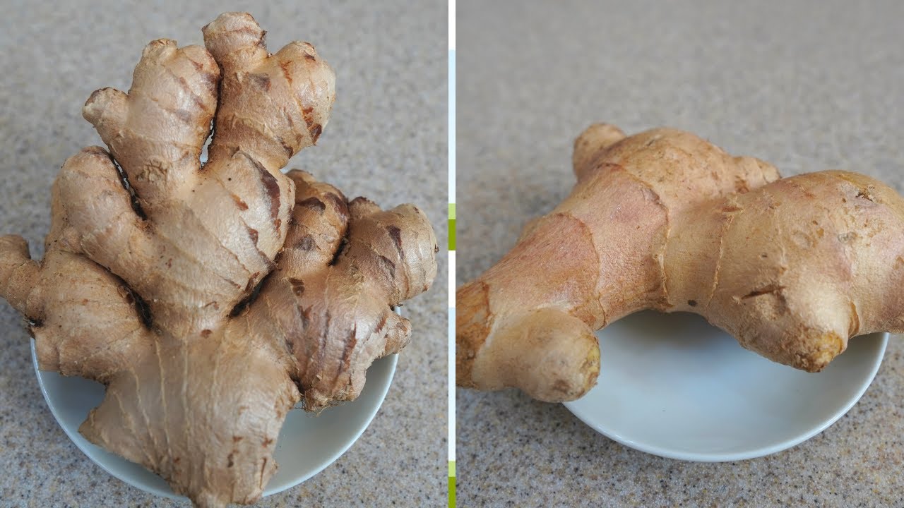 तेज और अच्छे अदरक की पहचान ऐसे करें | Which One Is The Best Ginger ...