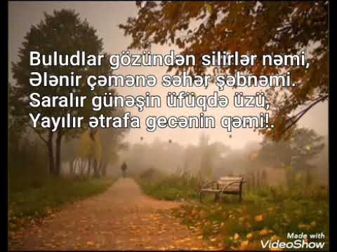 Kemale Mahmudova-Əsir uzaqIardan payız küIəyi