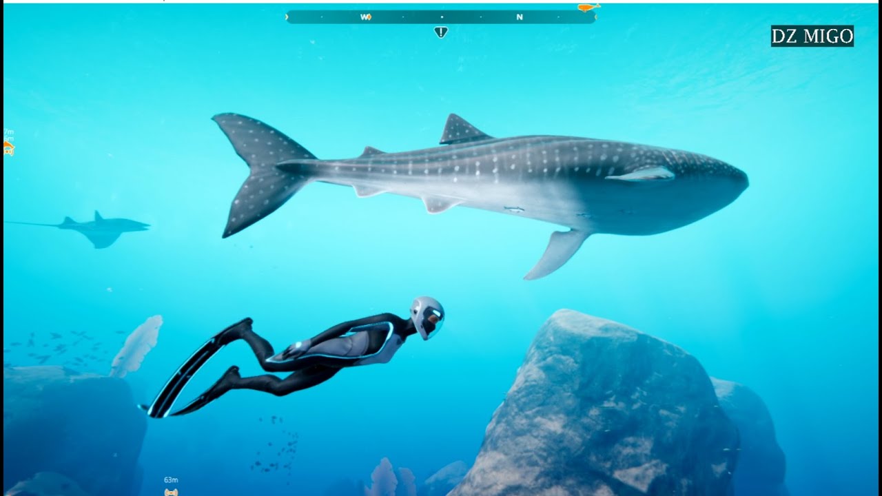 Beyond Blue PC Gameplay - YouTube