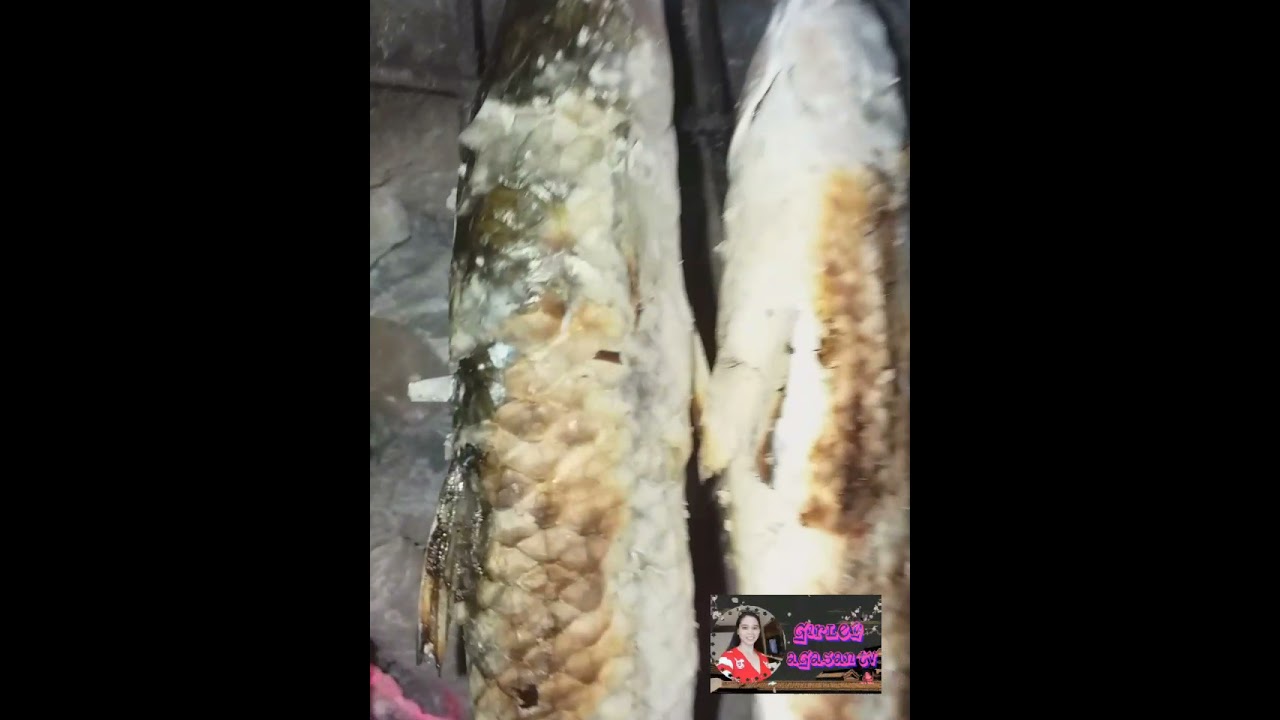Grilled Kapak Fish #shorts - YouTube