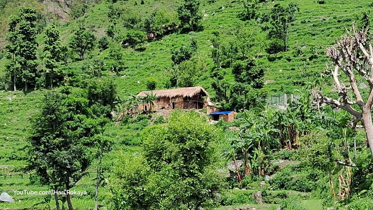 Beautiful Nepali Mountain Village Life of Nepal || Most peaceful Hari ...