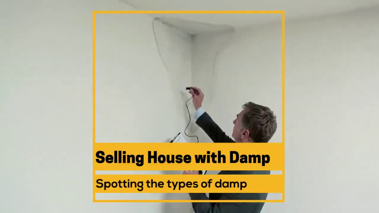 Sell House with Damp - Identify the Various Types of Damp in Your Home ...