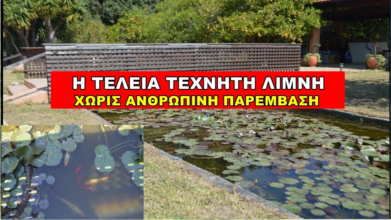 Η ΤΕΛΕΙΑ ΤΕΧΝΗΤΗ ΛΙΜΝΗ ΜΕ ΨΑΡΙΑ: ΧΩΡΙΣ ΦΙΛΤΡΑ , ΧΩΡΙΣ ΑΛΛΑΓΕΣ ΝΕΡΟΥ ...