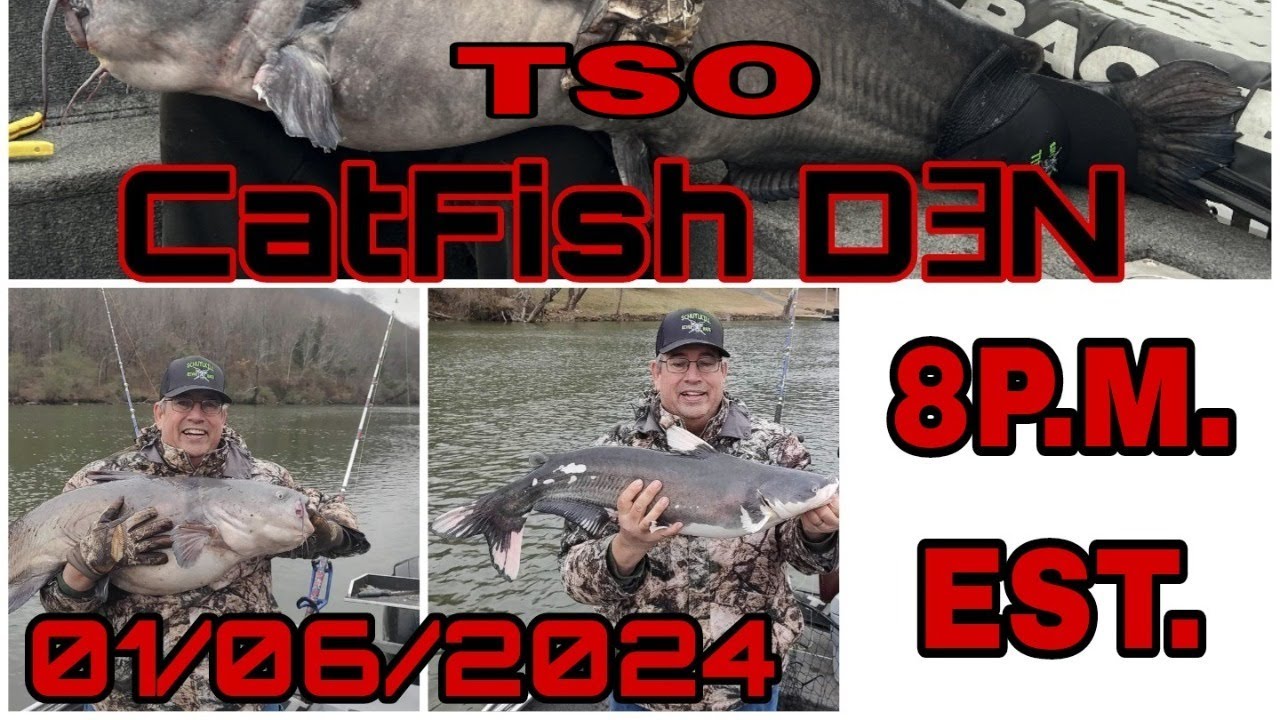 Darrell Morris & Greg Hullender from TSO in the CatFish D∃N - YouTube