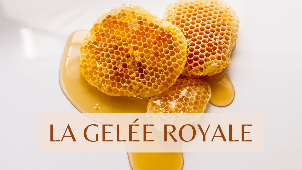 Gelée Royale : Bienfaits D’un Superaliment Naturel Et Précautions – FSQRD