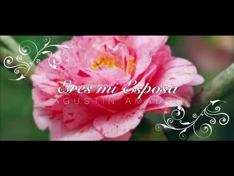 Agustin Amador - Eres mi Esposa ( Video lyric Oficial )