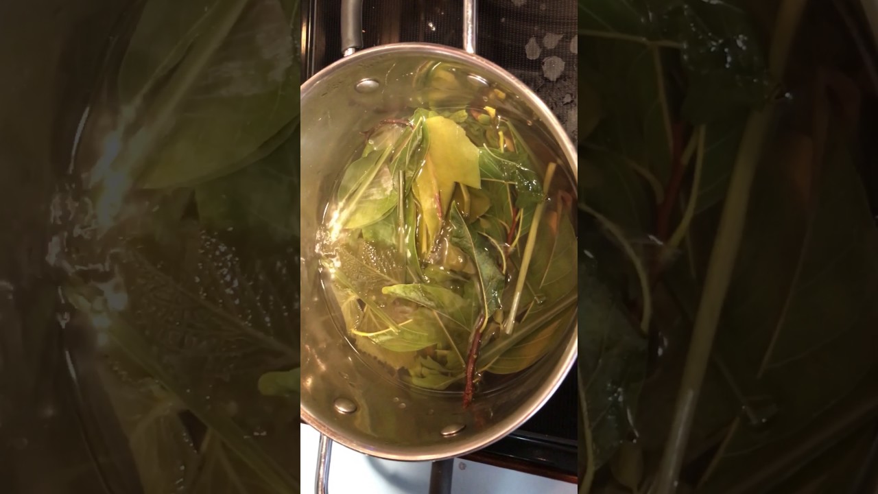 Haitian tea - YouTube