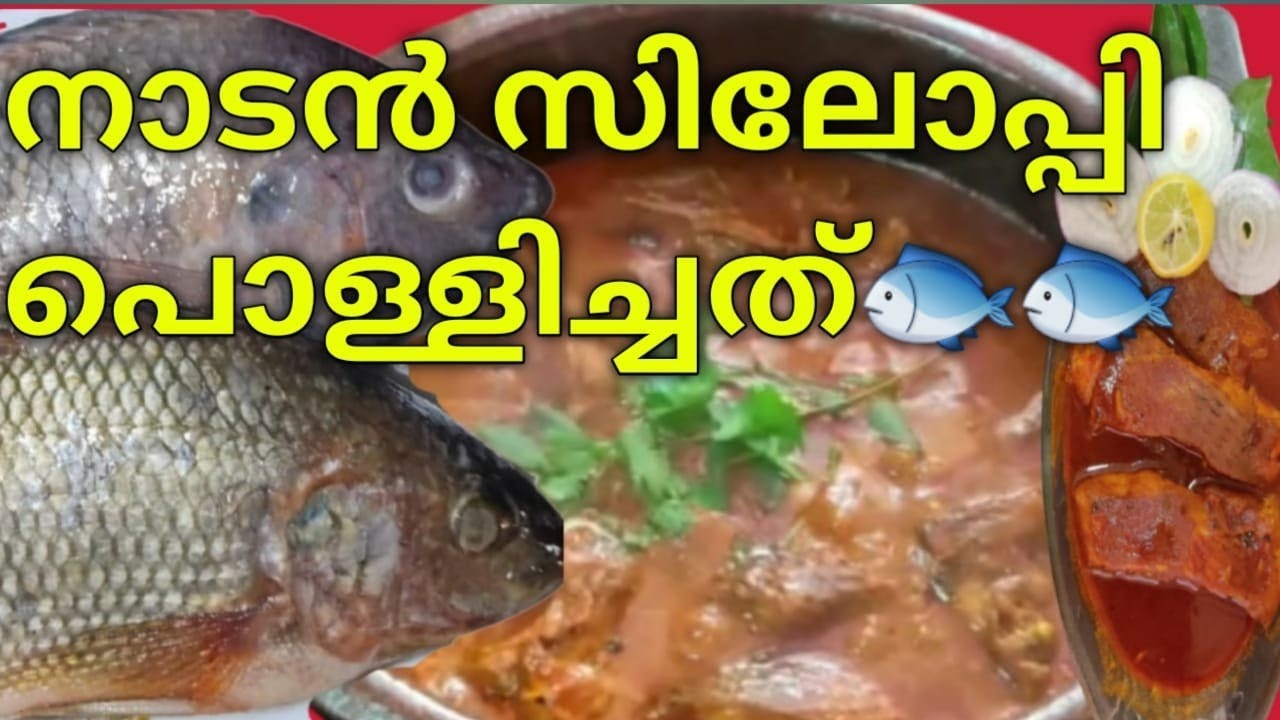 തനി നാടൻ സിലോപ്പി പൊള്ളിച്ചത് |Malayalam |How to make a silopi fish ...