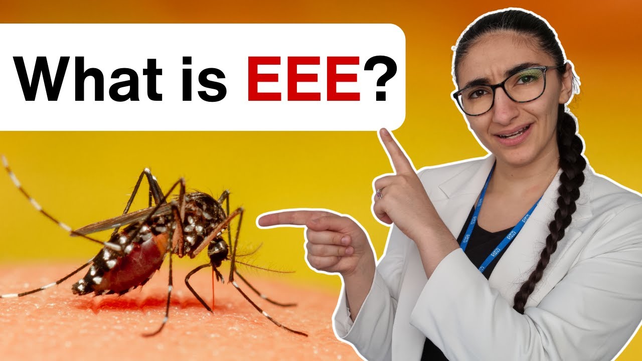 What is EEE virus? What is triple E virus? Can EEE virus kill you ...