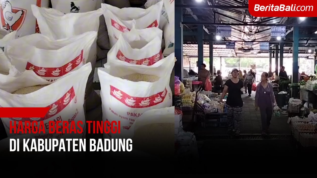 Harga Beras Tinggi di Kabupaten Badung - YouTube