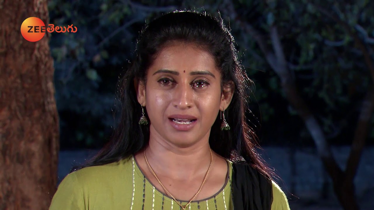 Suryavamsam-సూర్యవంశం -Telugu Tv Serial - Kaushal Manda, Meena Vasu ...