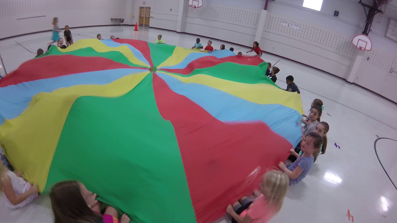 Sharks and Lifeguards - YouTube