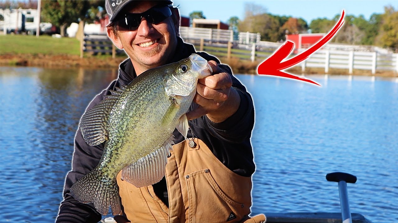 CATCHING TROPHY Crappie In Backyard Pond! - YouTube