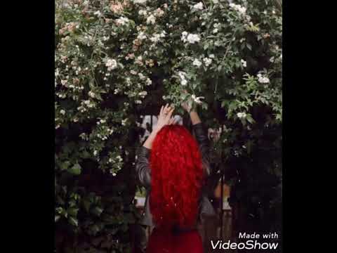 BÖ -Nenni -Nahibe Babaslı (cover)