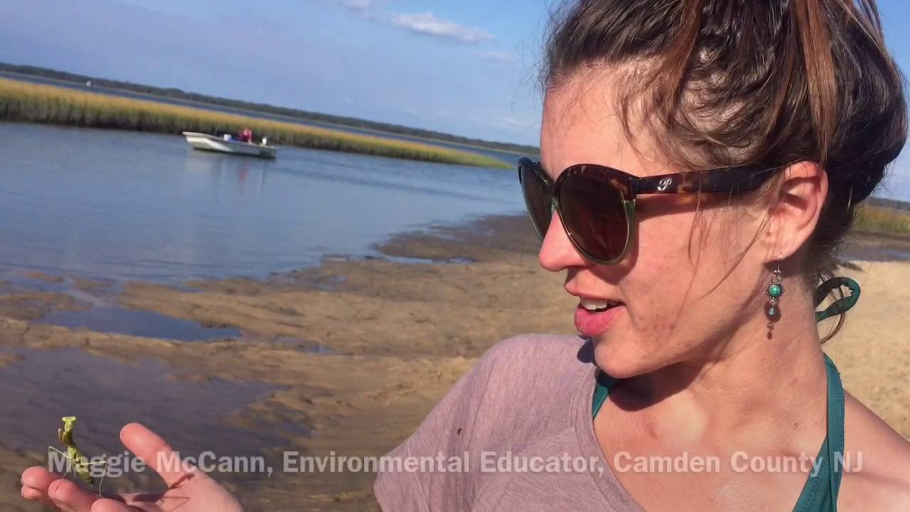 Thank you to the Henry L. and Grace Doherty Foundation - YouTube