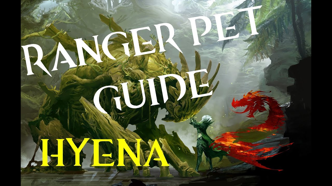 Guild Wars 2 - Hyena // Ranger Pet Guide - YouTube