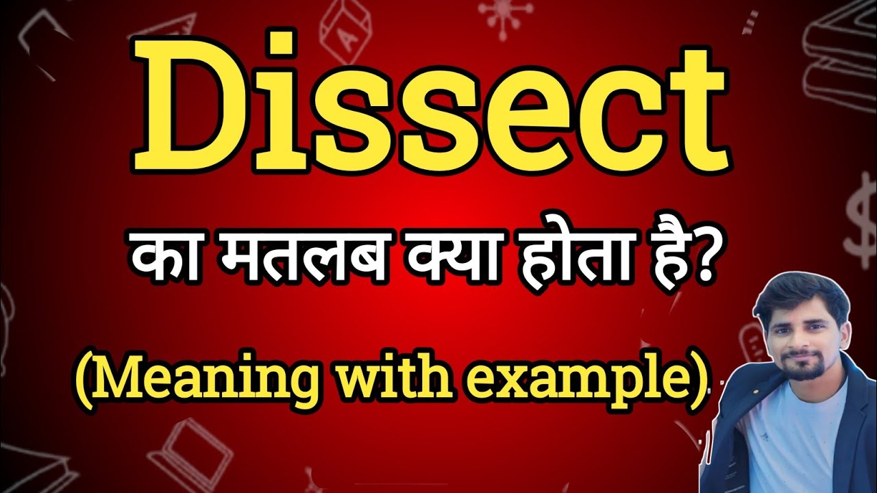 Dissect Meaning in Hindi | Dissect Ka Matlab kya Hota hai| English to Hindi dictionary - YouTube