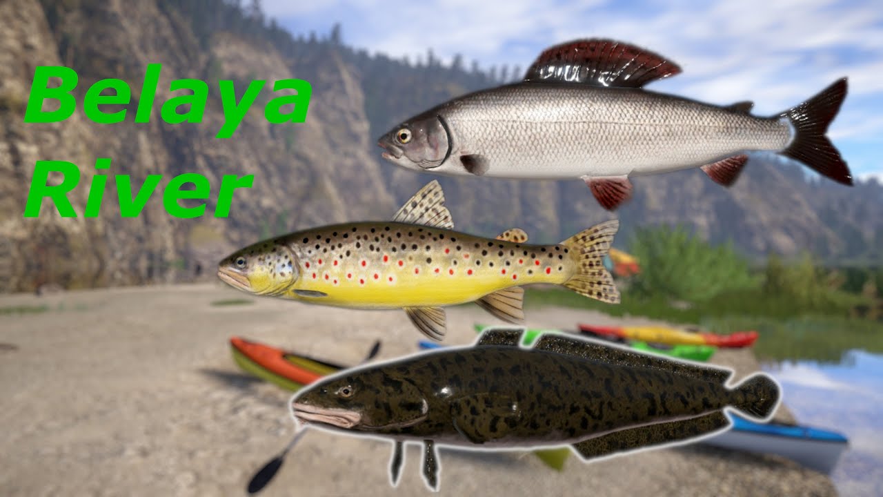Russian Fishing 4 - Belaya River LIVE #24 - YouTube