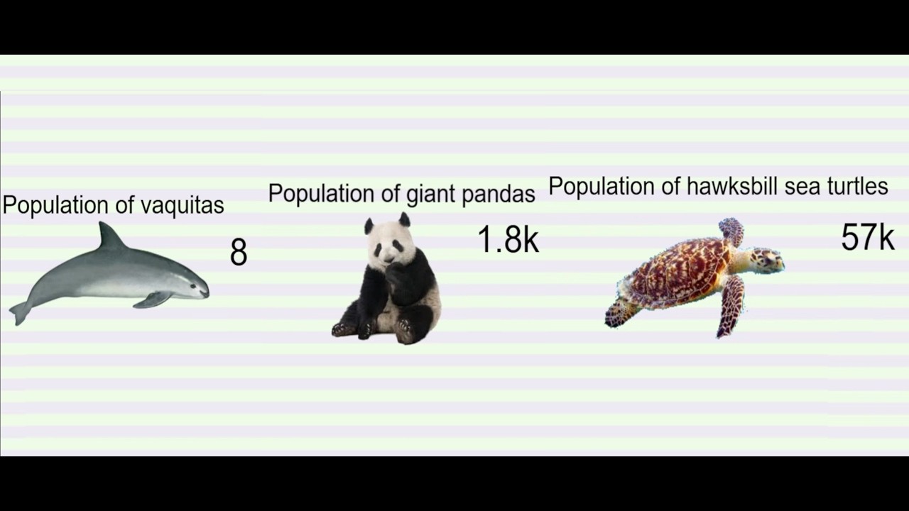 Population comparison: rarest animals. - YouTube