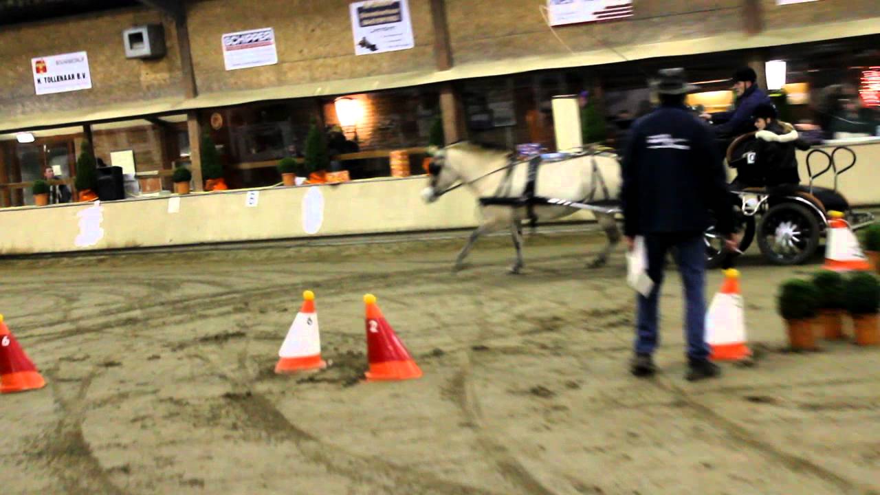 Arie Timmer - YouTube