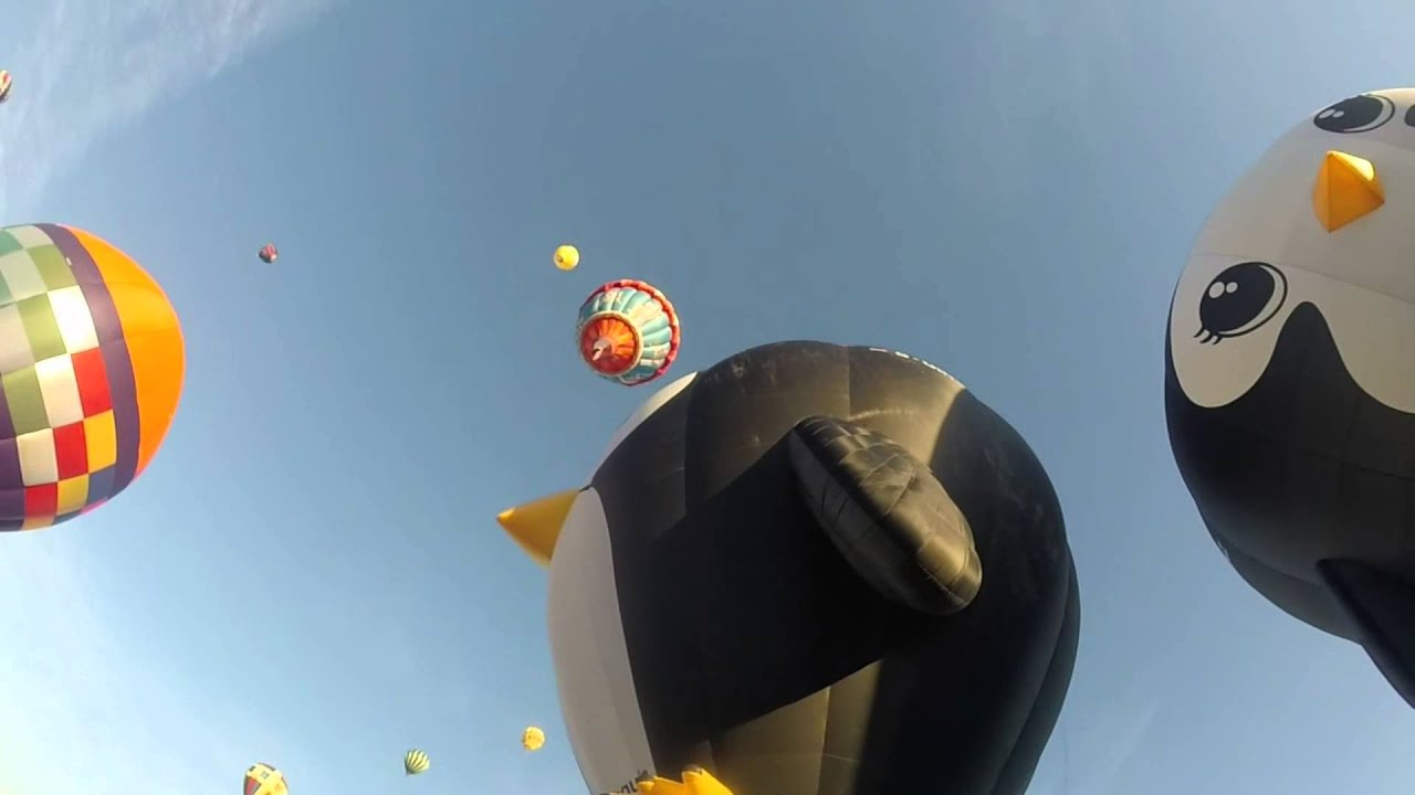 Puddles & Splash Take Flight Albuquerque International Balloon Fiesta ...
