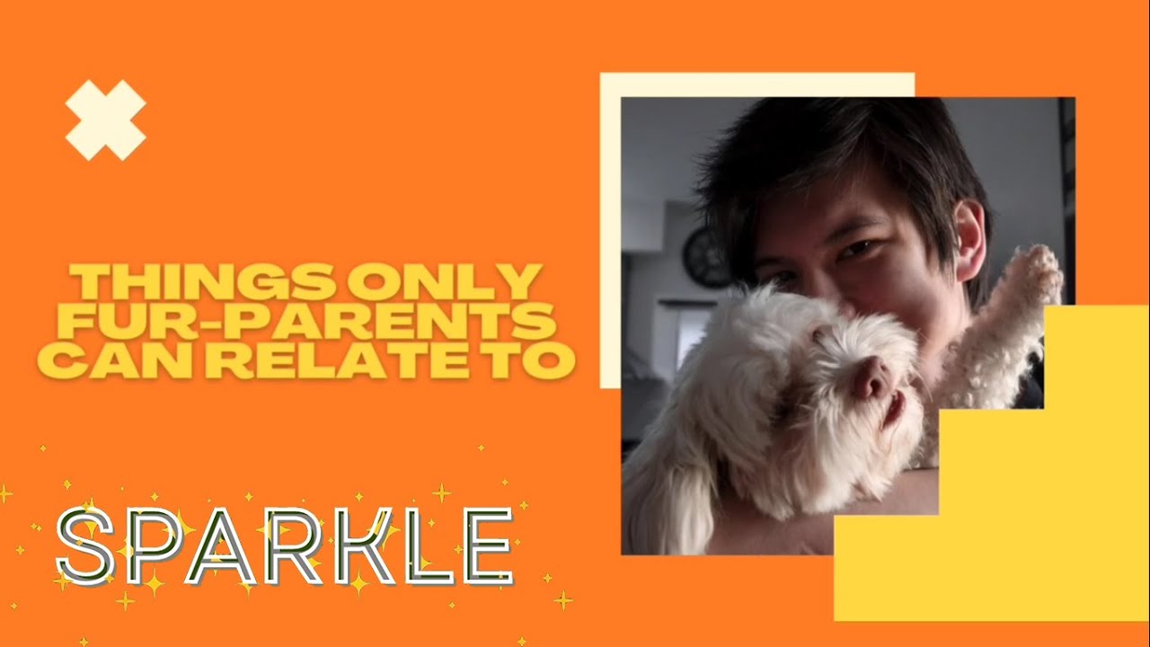 Gil Cuerva says you can't sit with us (fur-parents) - YouTube