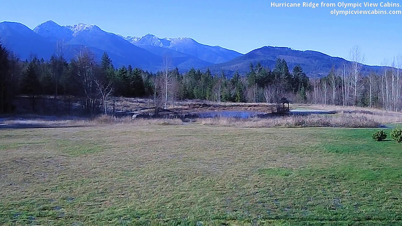 2019-11-29 Olympic View Cabins Hurricane Ridge Cam - YouTube