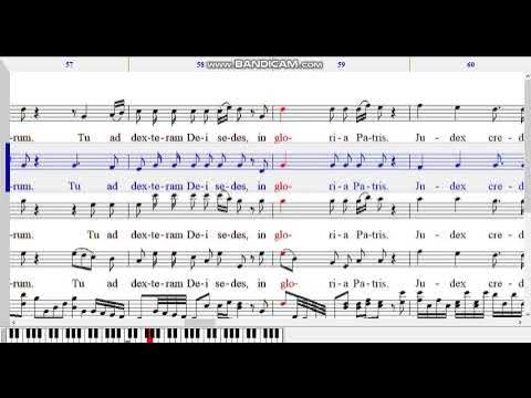 Te Deum - W. A. Mozart Alto - YouTube