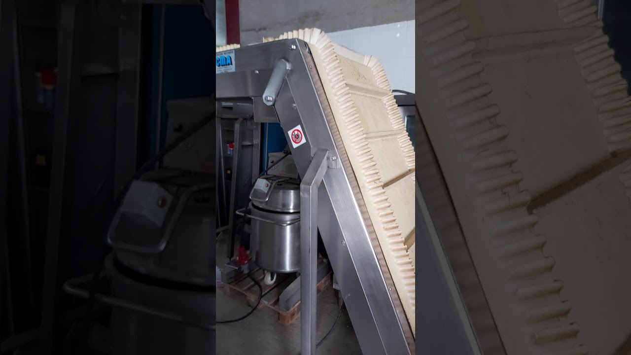 Stainless steel conveyor, swan neck with squeegees, walls and hopper ...