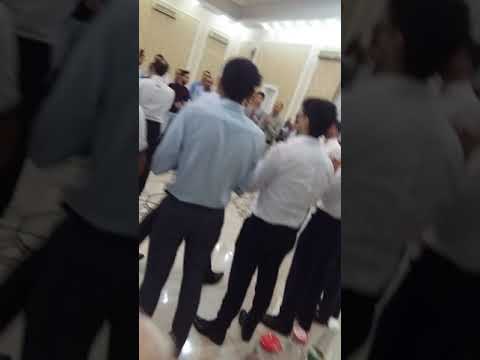 Elinin Medine gulu toyu