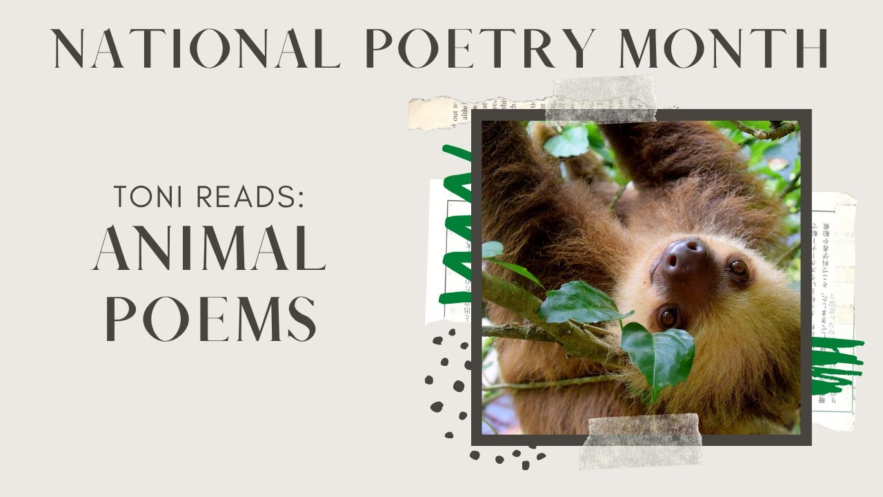 Animal Poems from The Beauty of the Beast collection | National Poetry ...