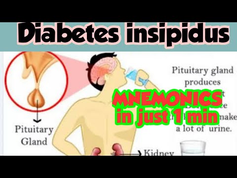 Diabetes insipidus - YouTube