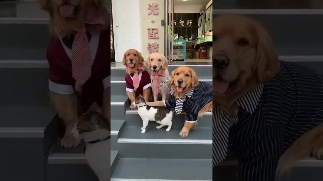 There’s always that one oddball in the family! - YouTube