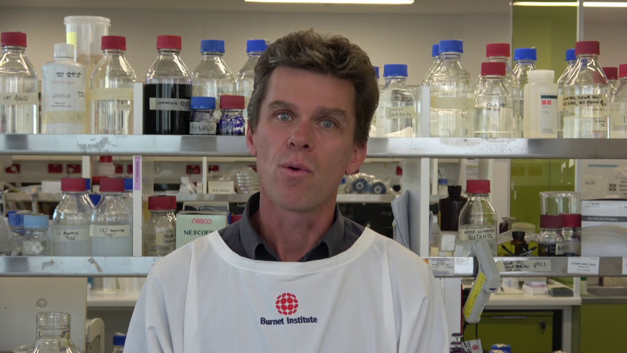 Professor James Beeson's message for World Malaria Day 2018 - YouTube