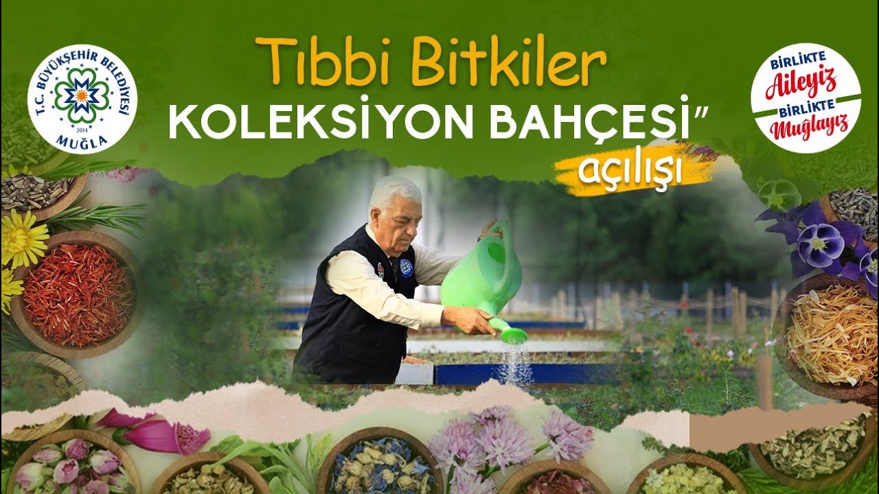 Tıbbi Bitkiler Koleksiyon Bahçesi Açılışı-Marmaris - YouTube