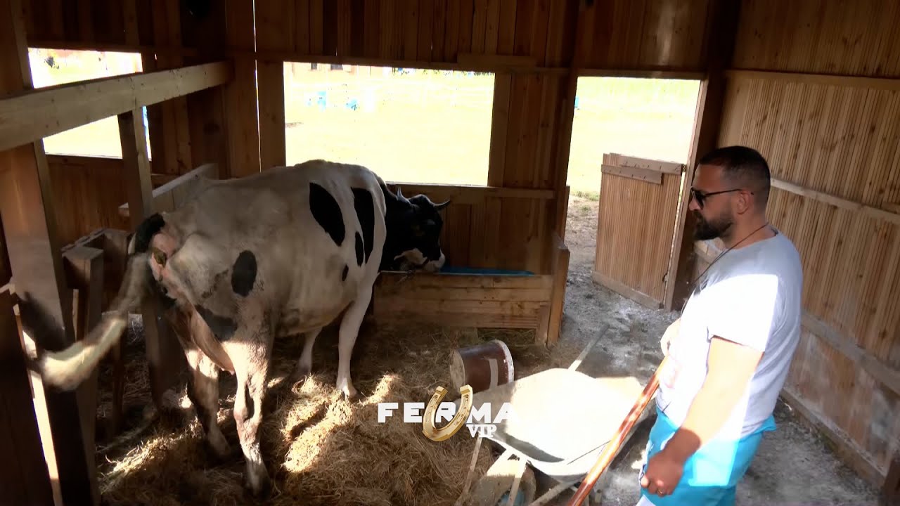 Flori: Mirëmëngjes Lara, ja si e përshëndet ajo fermerin... | Ferma Vip ...