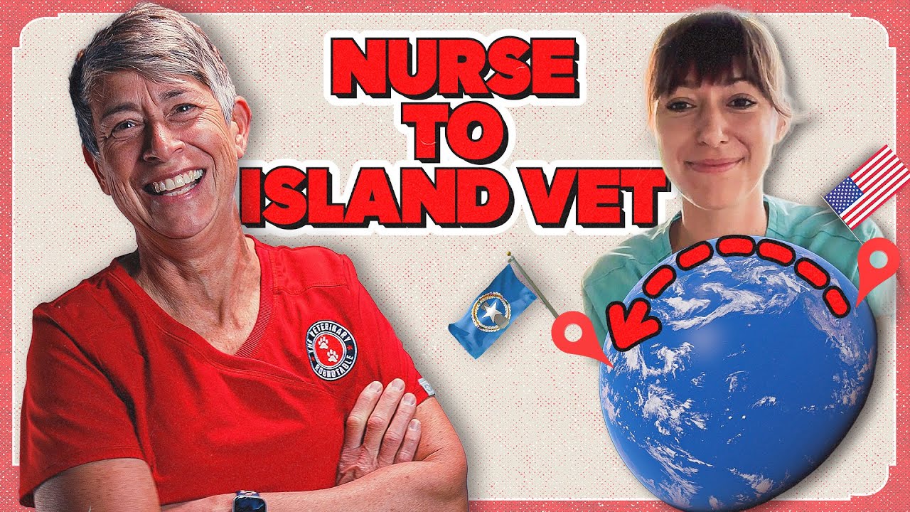 From ICU Nurse To Future Island Vet w/ Lauren Cabrera | The Veterinary ...
