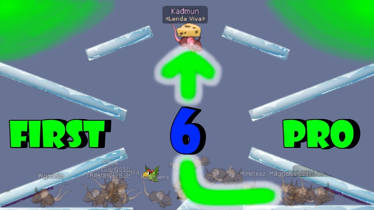 Transformice - First PRO Burlas Racing #6 - YouTube