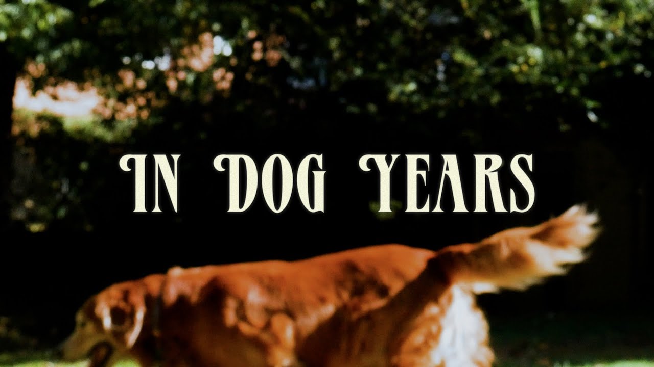 In Dog Years Sean Hatten - YouTube