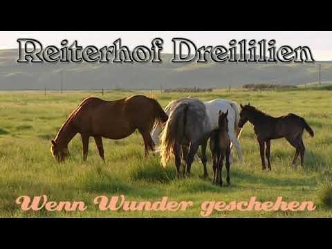 Reiterhof Dreililien - Wenn Wunder geschehen [Folge 7]